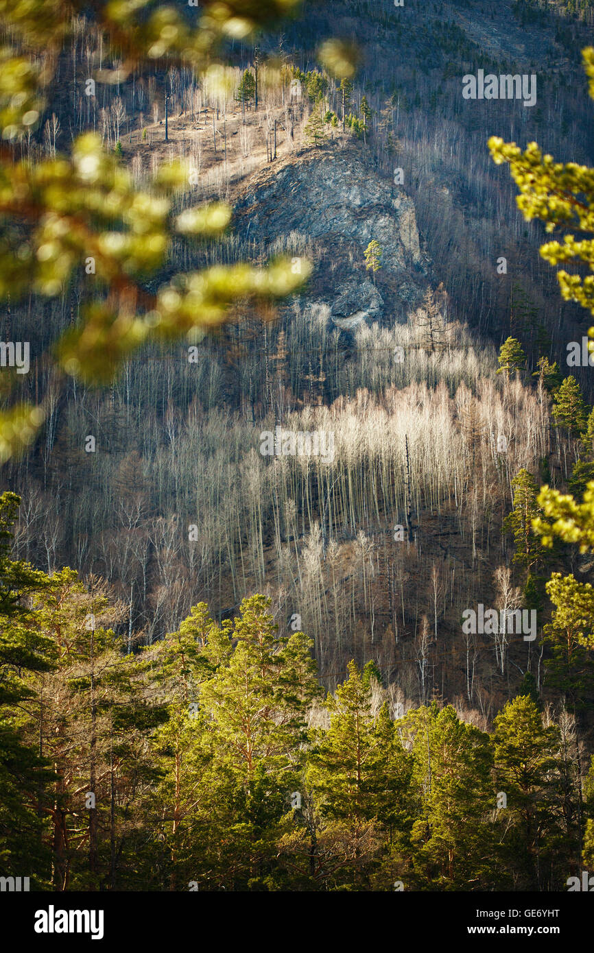 Mountain landscape view. Nature travel background Stock Photo - Alamy