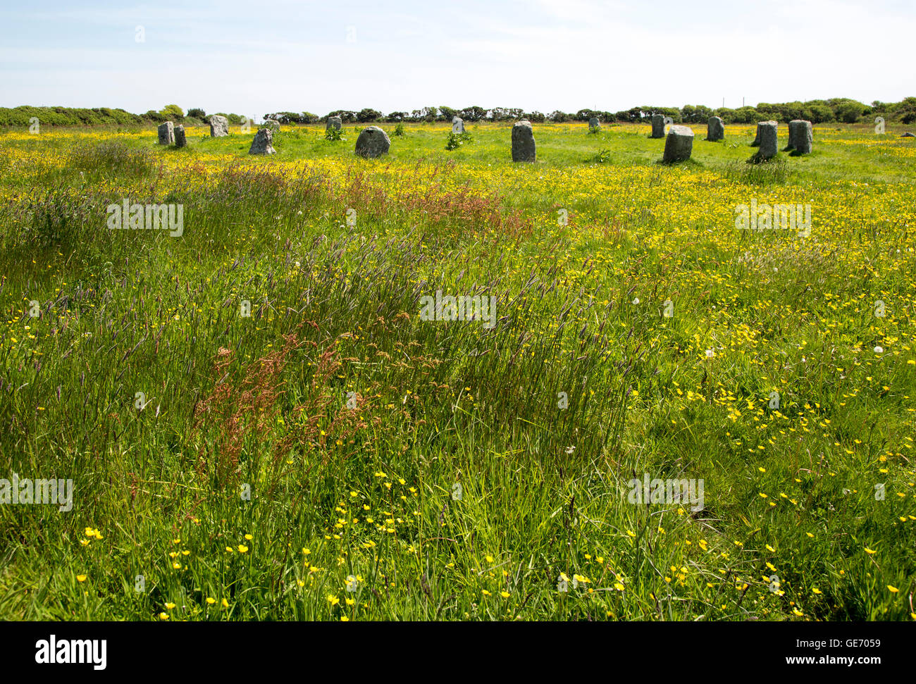 The Merry Maidens prehistoric stone circle,, Cornwall, England, UK ...