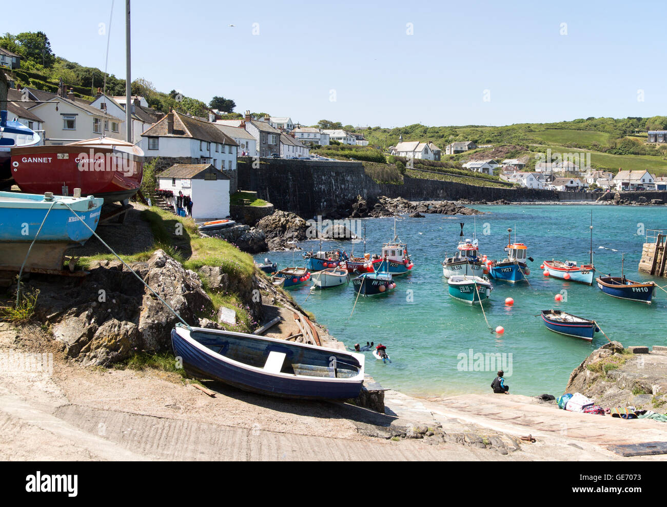 Fishing boats in the harbour at Coverack, Lizard Peninsula, Cornwall ...