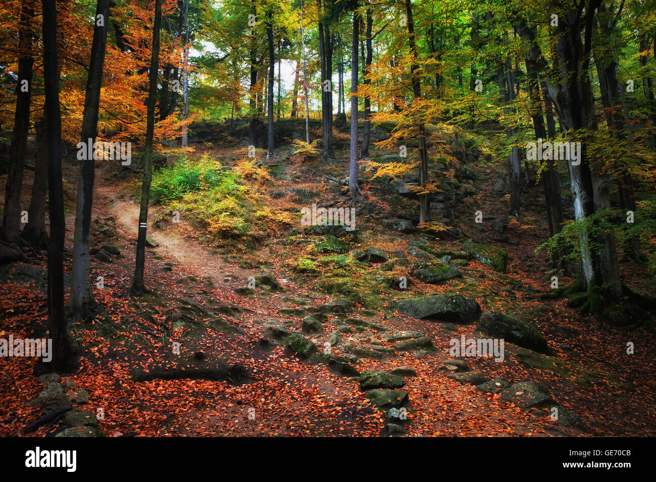 Slope mountains hi-res stock photography and images - Alamy