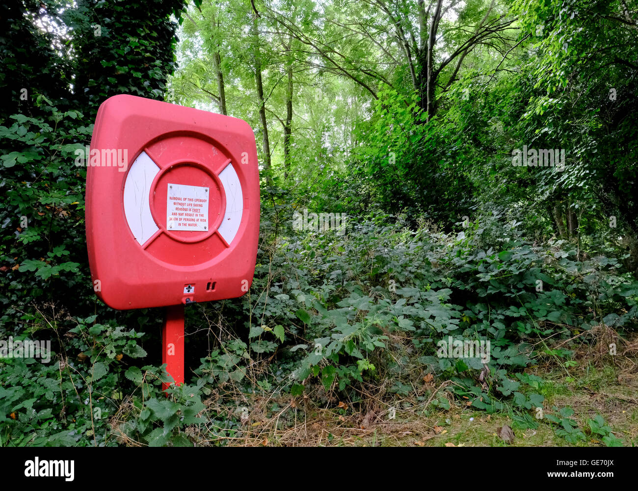 Solitary plastic life ring seen installed in a wooded area by the side ...
