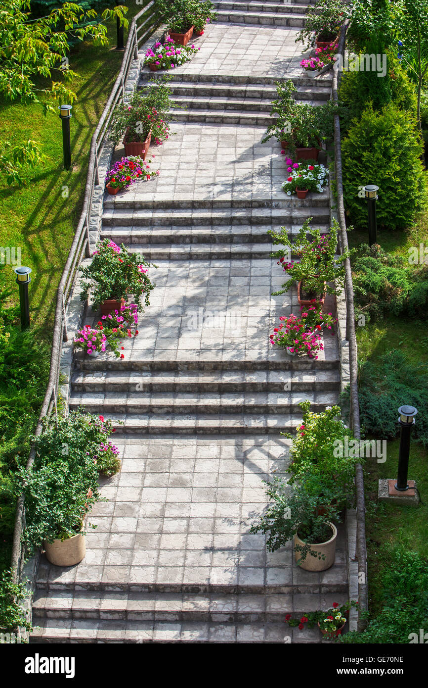 stone steps with flowers Stock Photo - Alamy