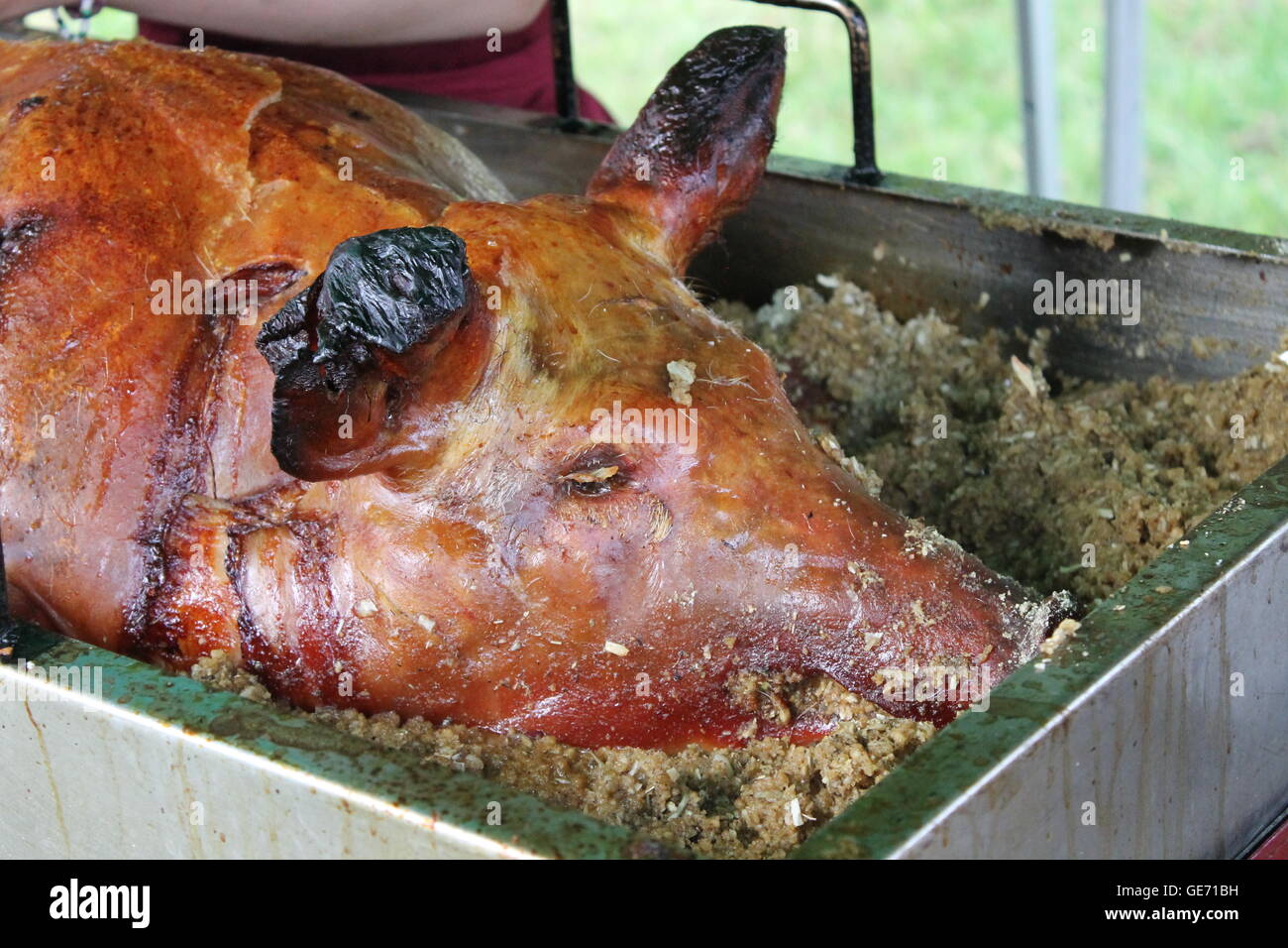 Hogs head hi-res stock photography and images - Alamy