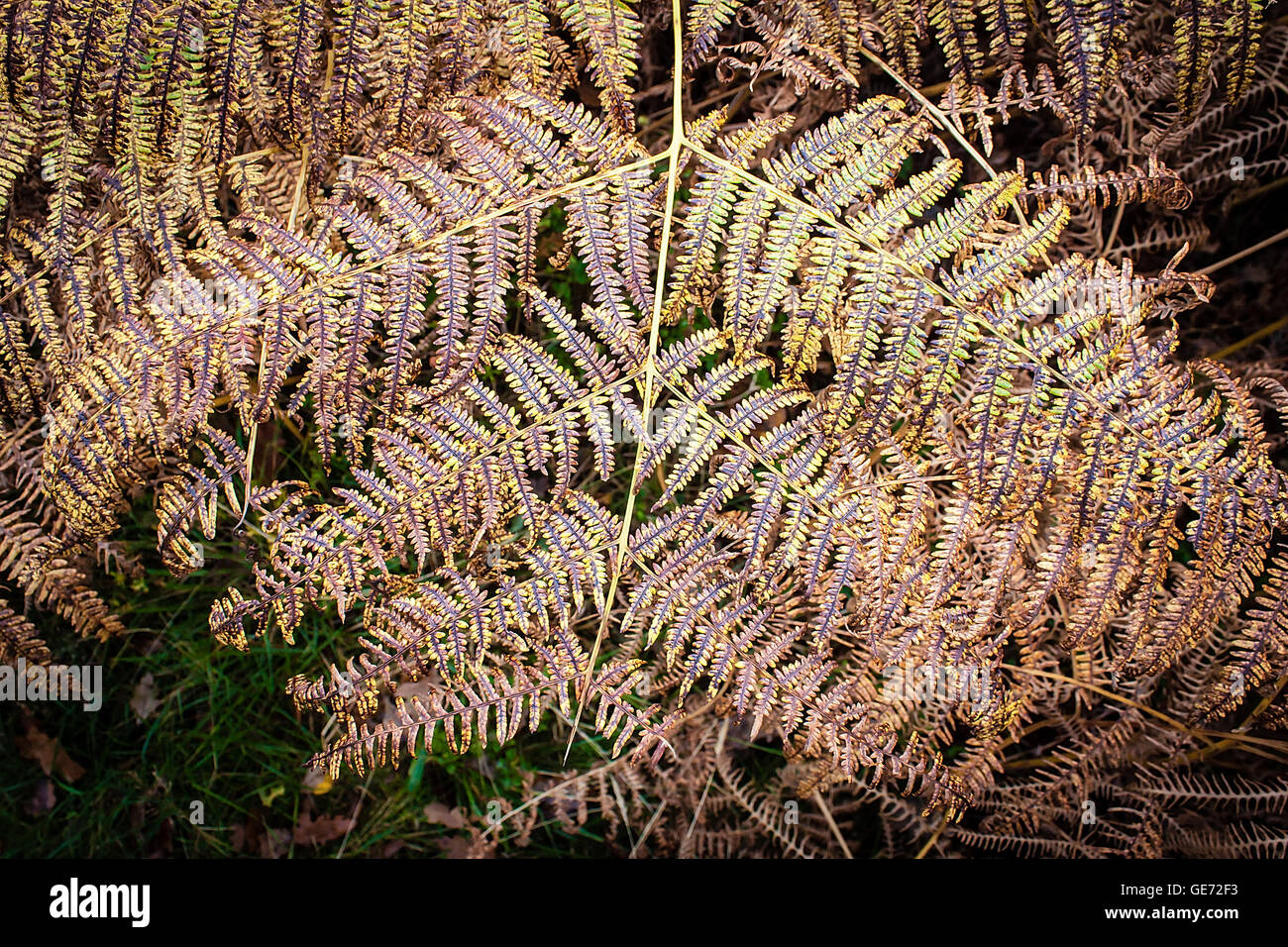 Wicklow Colours High Resolution Stock Photography and Images - Alamy