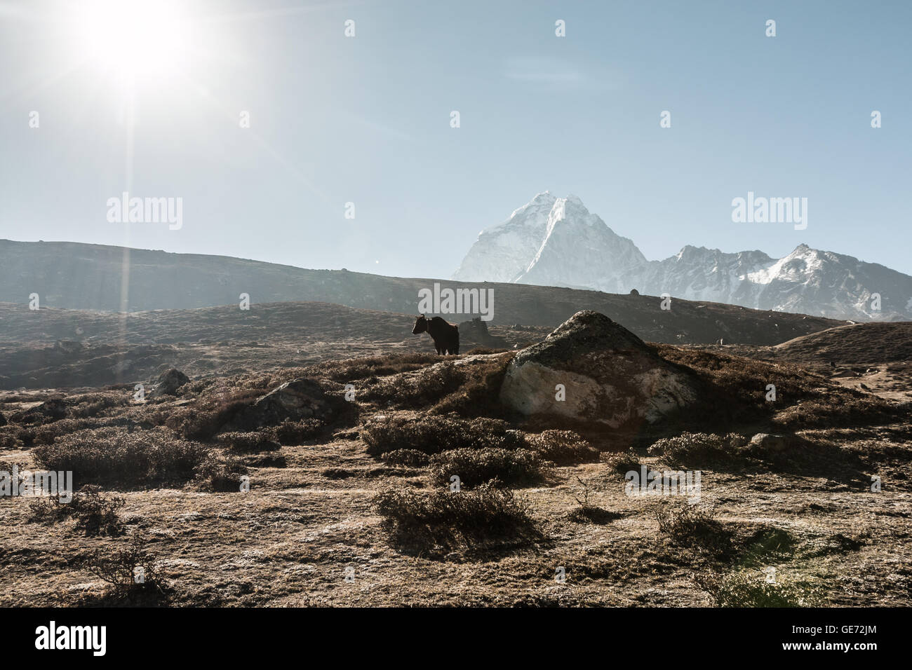 Nepal attractions hi-res stock photography and images - Alamy