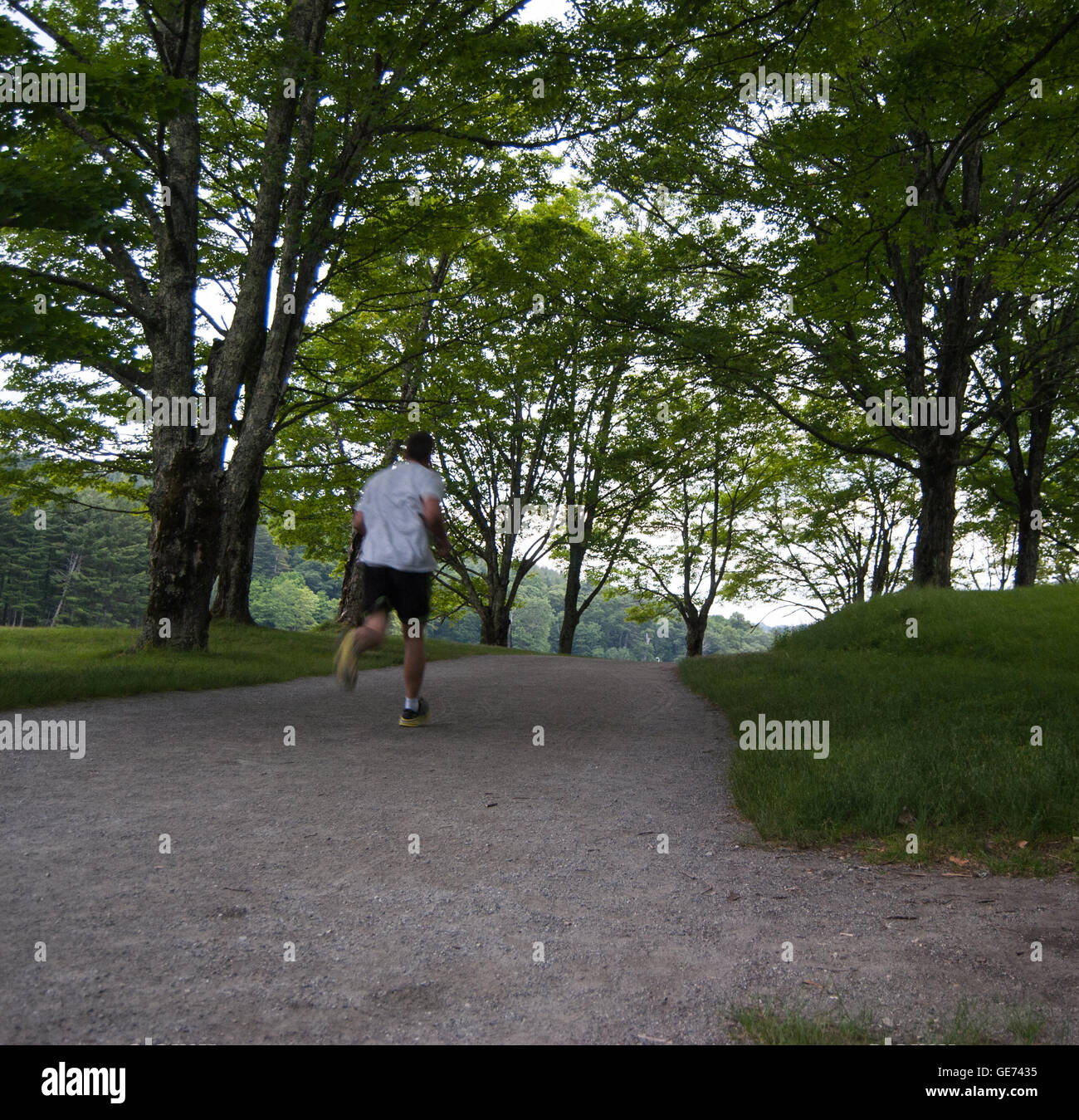 A man running on a trail Stock Photo - Alamy
