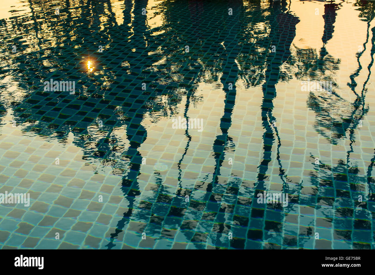 Palm tree reflection in swimming pool hi-res stock photography and ...