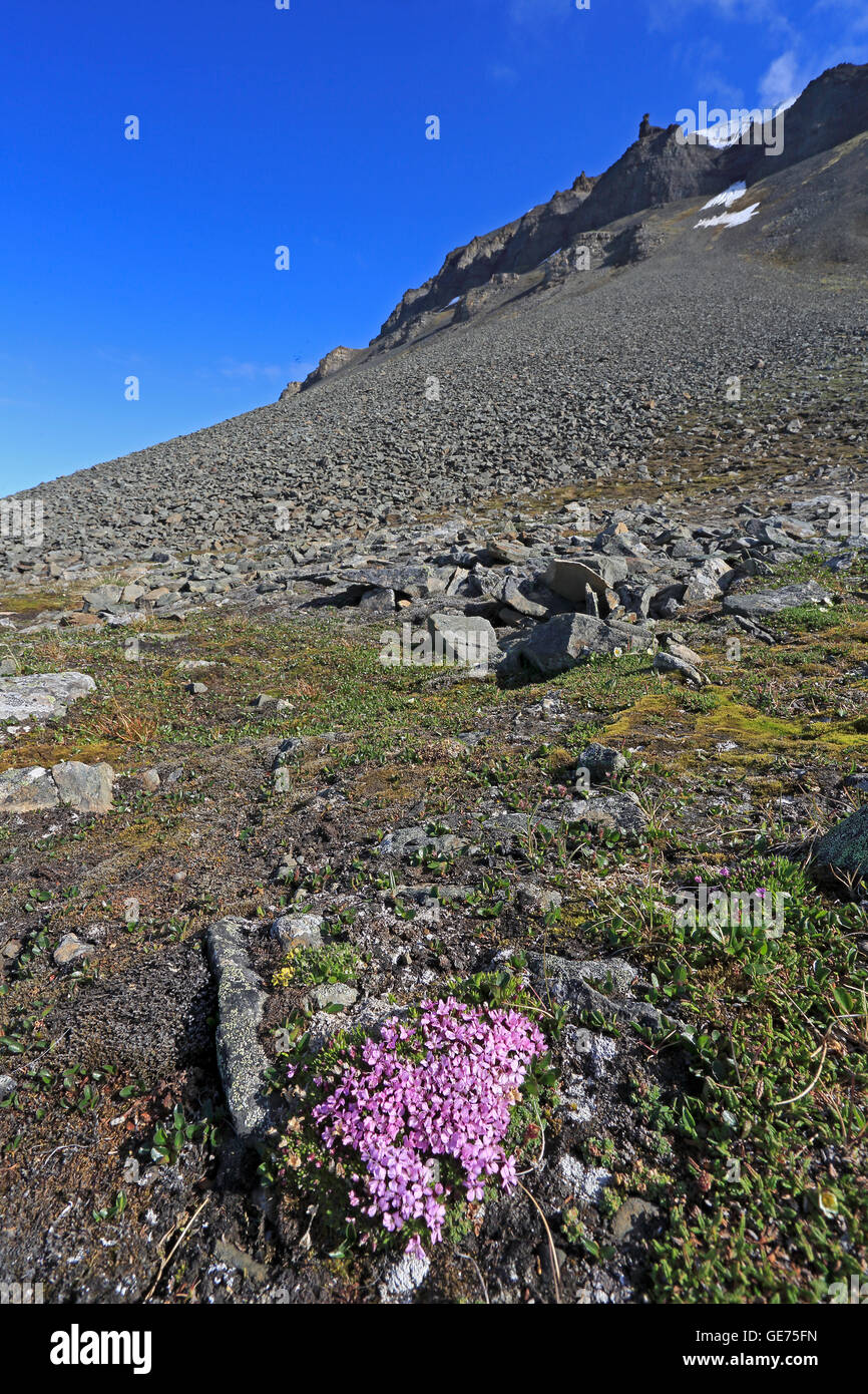 Scree slope hi-res stock photography and images - Alamy