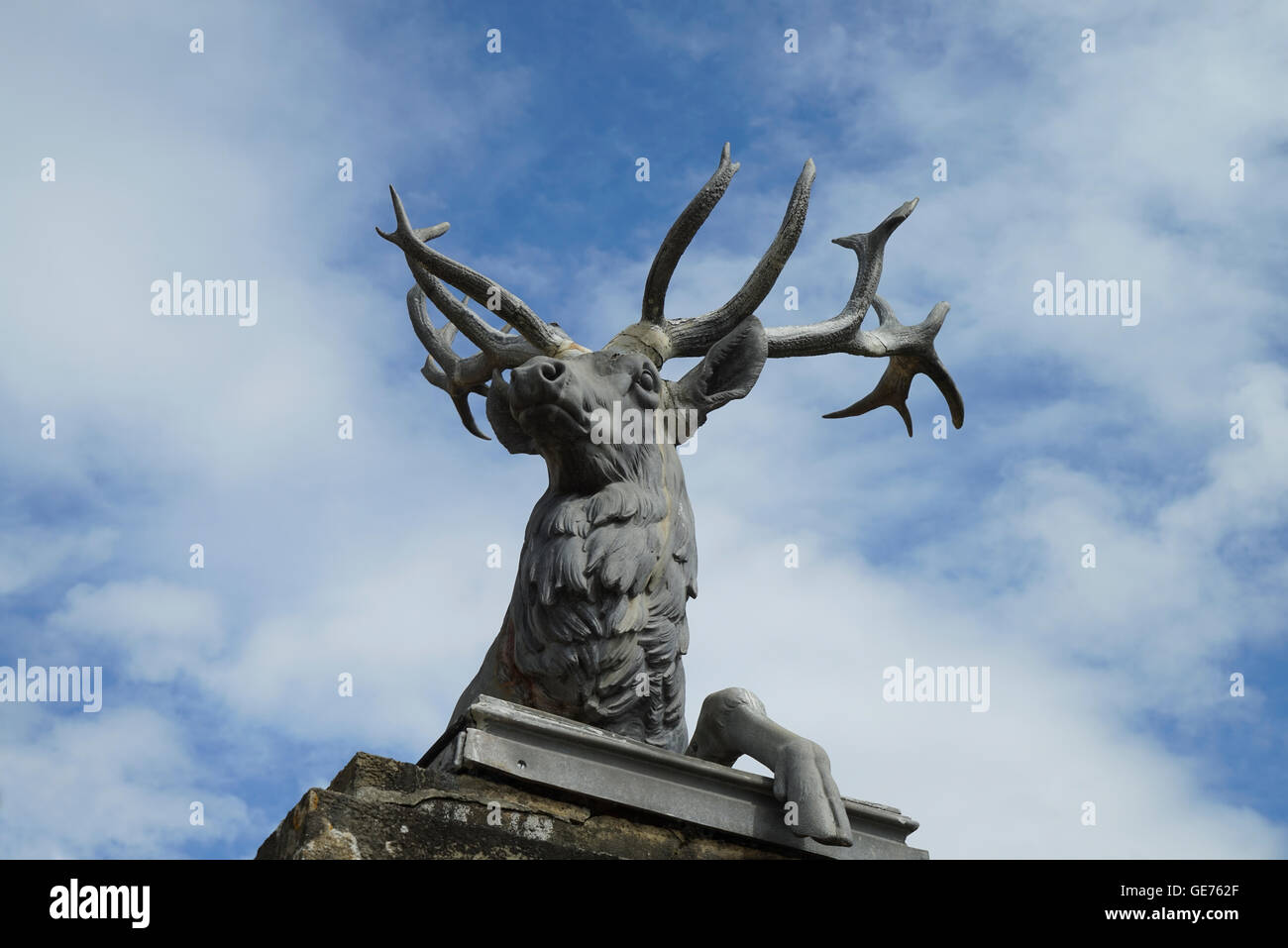 Stone Stag -1 Stock Photo - Alamy