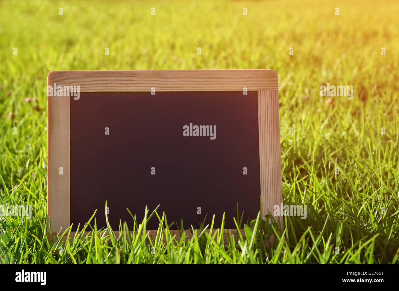 empty wooden sign in the forest, garden or park Stock Photo - Alamy
