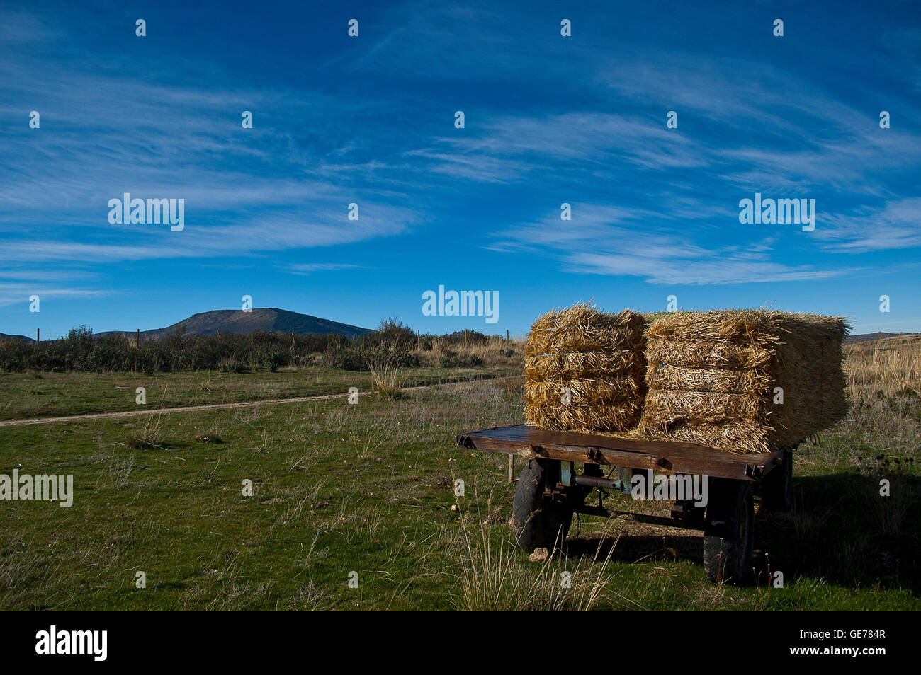 Old small trailer or platform in the field of a rural area loaded with ...