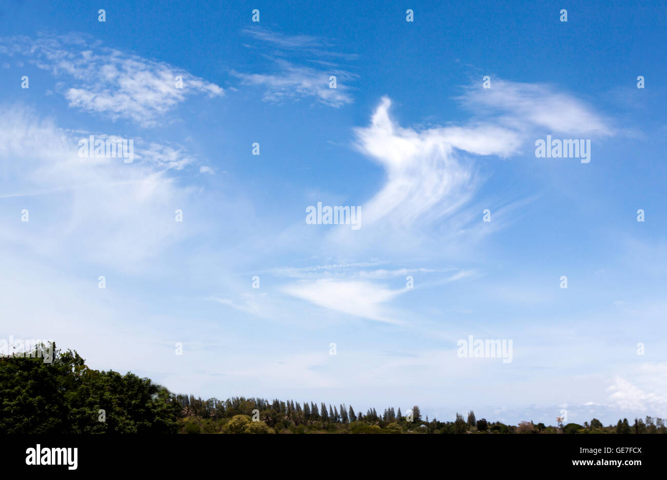 perfect blue sky in a rainy season. beautiful nature Stock Photo - Alamy