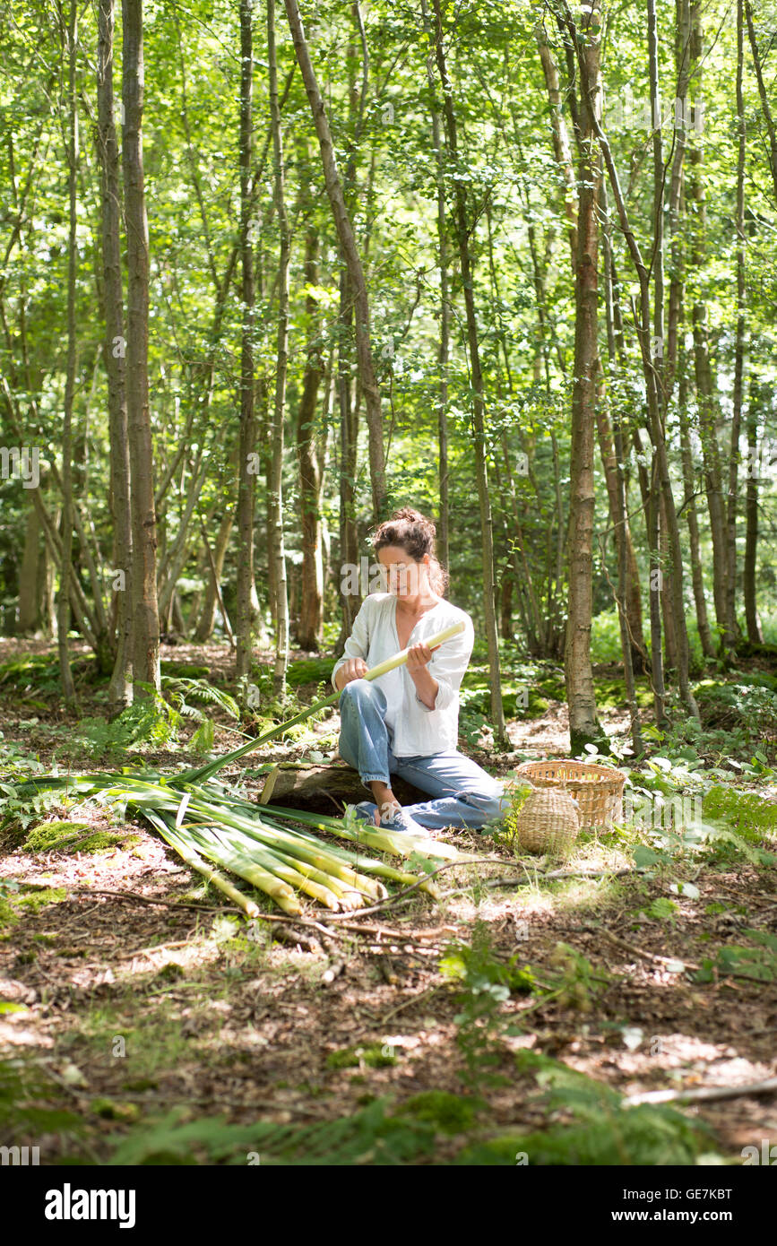 Forest, wood working, nature, natural living of the land, making fire ...