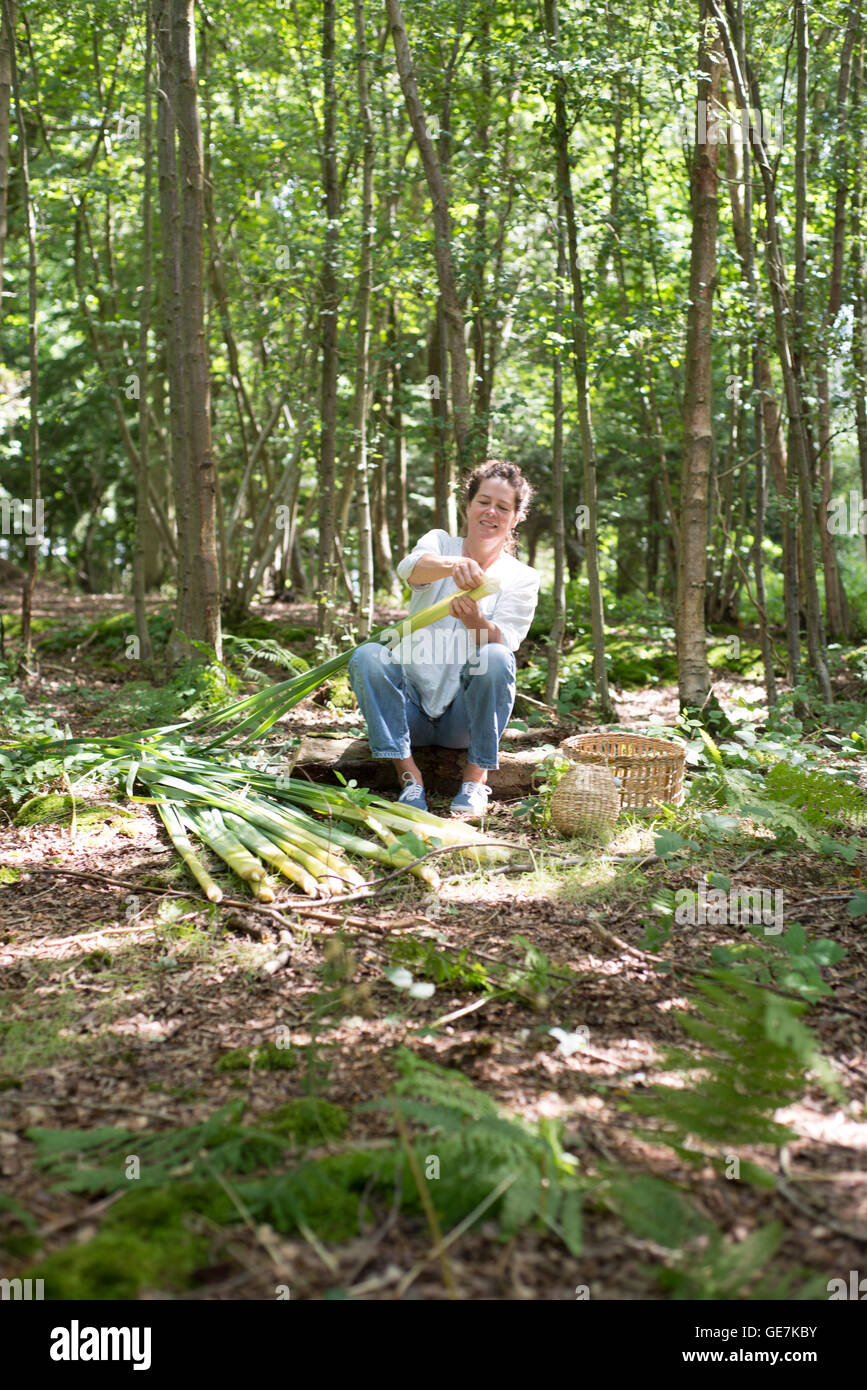 Forest, wood working, nature, natural living of the land, making fire ...