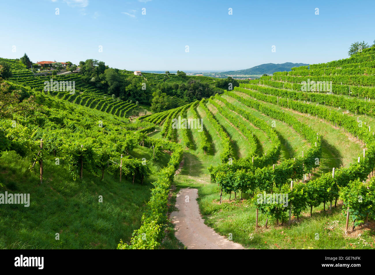 Valdobbiadene the prosecco vineyards hi-res stock photography and ...