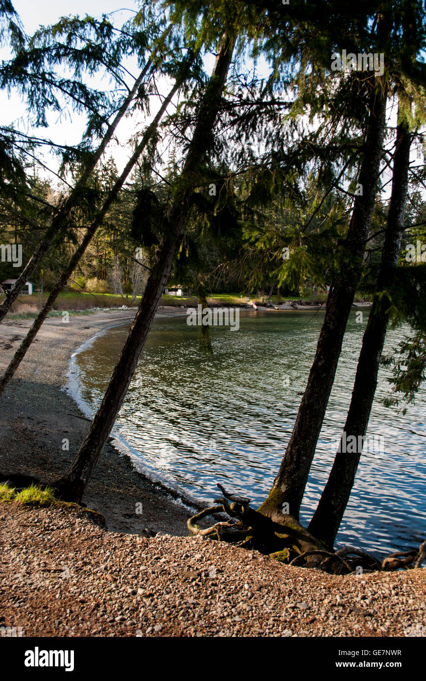 Manchester State Park, Port Orchard Olympic Peninsular, Washington ...