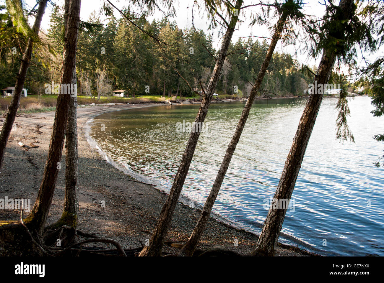 Manchester State Park, Port Orchard Olympic Peninsular, Washington ...