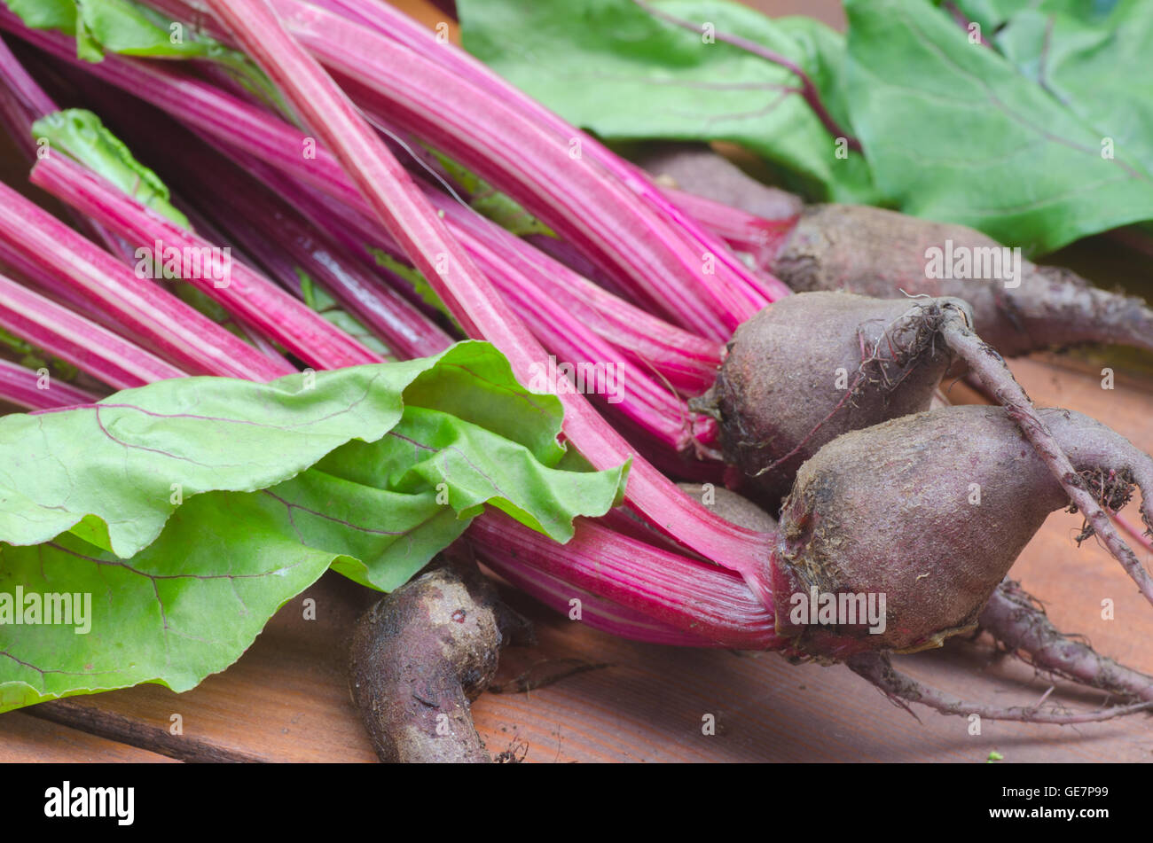 Table with roots hi-res stock photography and images - Alamy