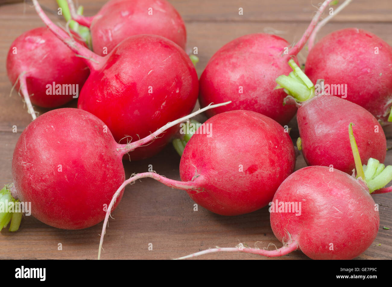 Radish variety hi-res stock photography and images - Alamy