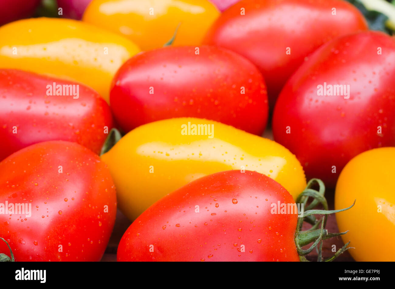 group of red and yellow tomatoes Stock Photo - Alamy