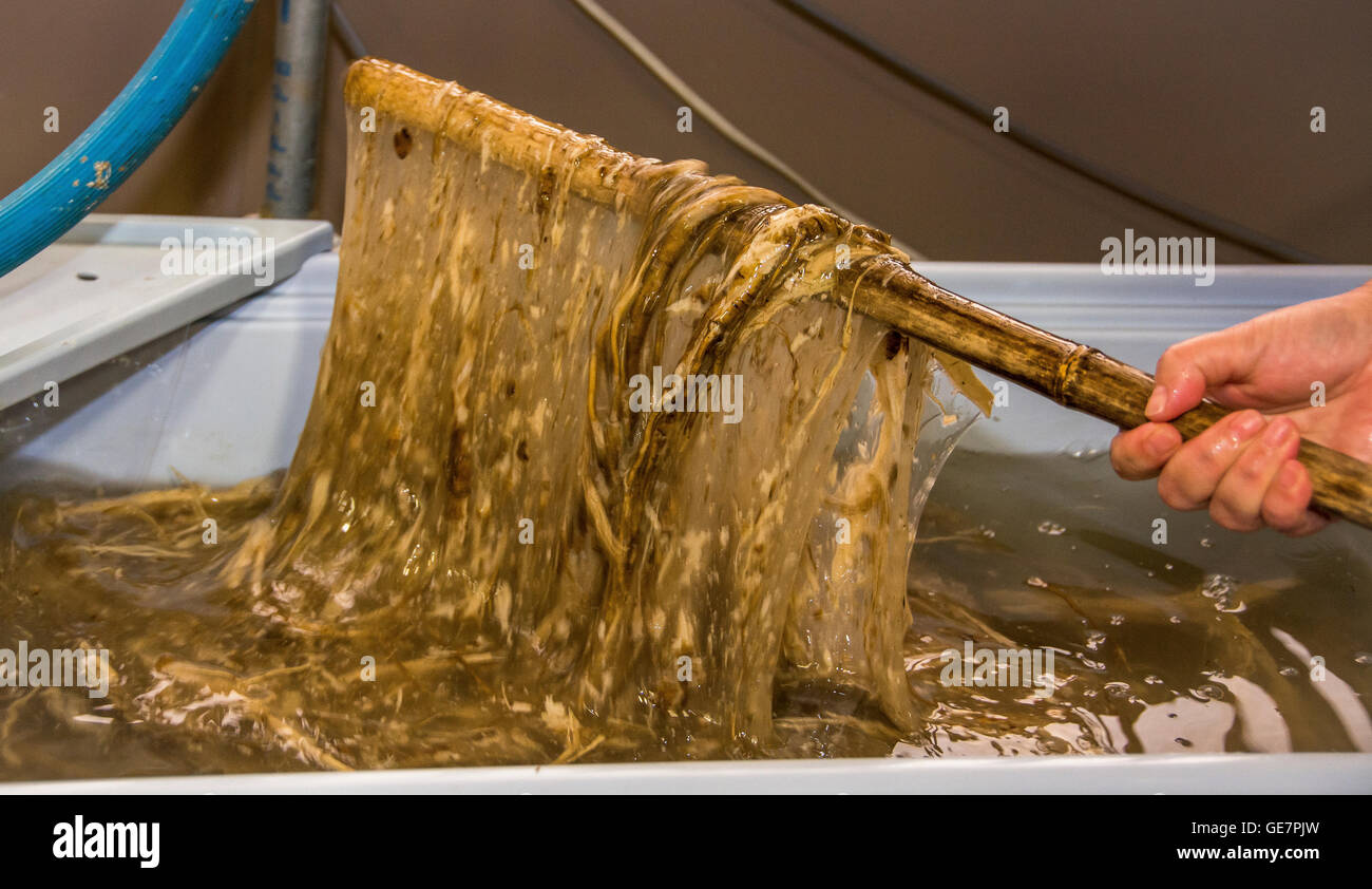 Papermaking hi-res stock photography and images - Alamy