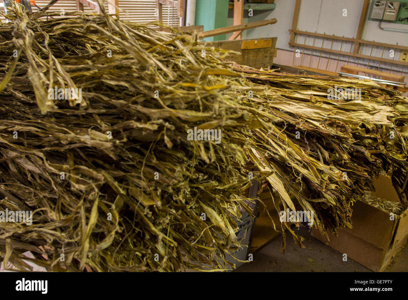 The papermaking factory in Gokayama, Japan where paper called Gokayama ...