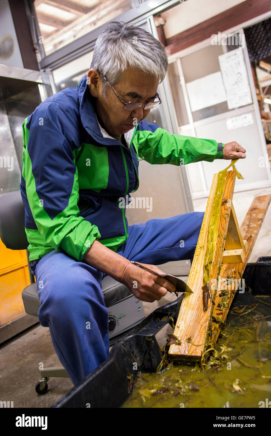 Paper making techniques in Gokayama, Japan Stock Photo - Alamy