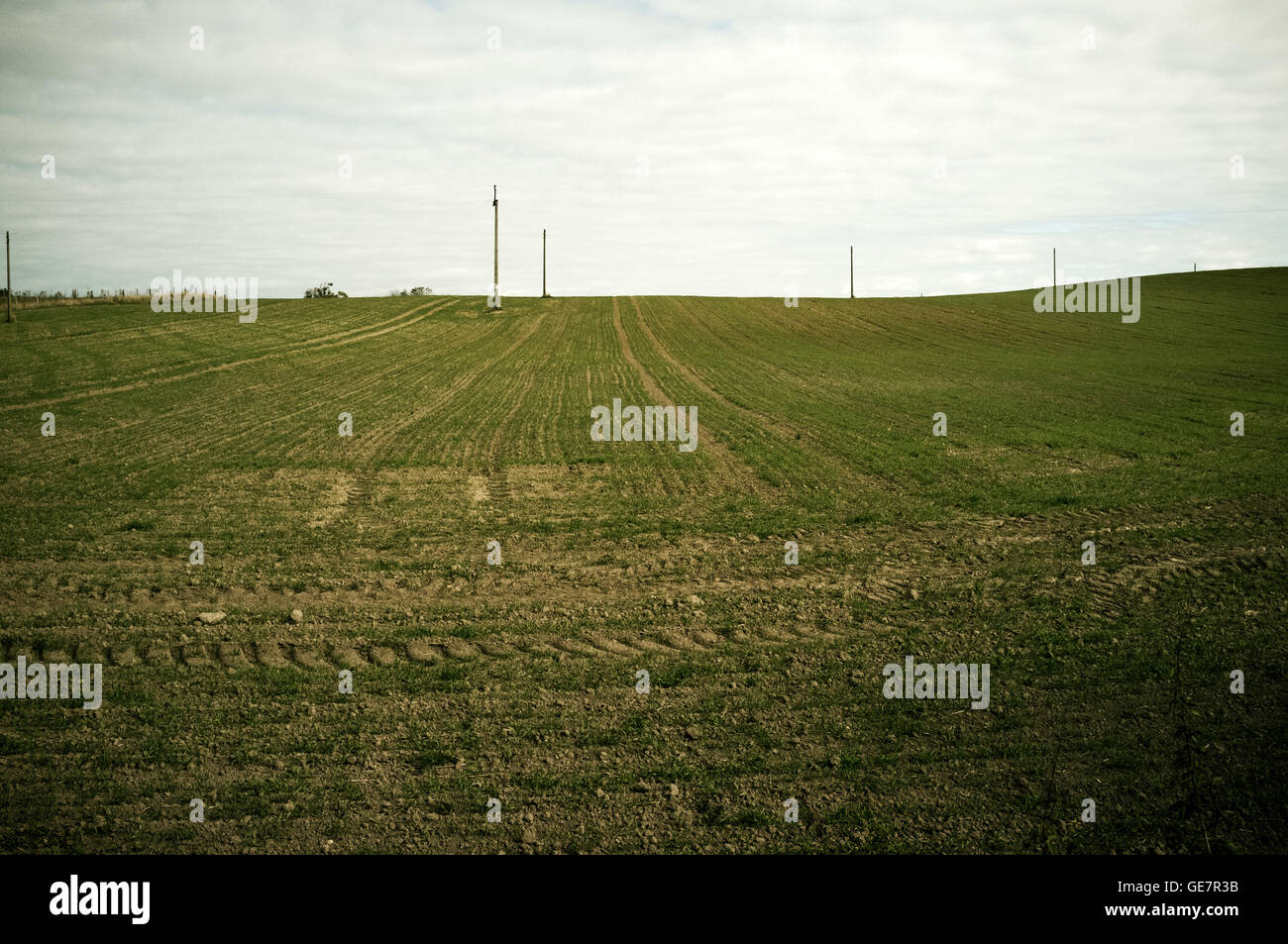 Wheat Crop Lines High Resolution Stock Photography and Images - Alamy
