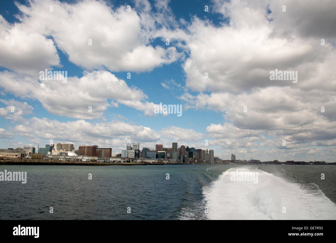 Boston Harbor Whale Watching Adventures Stock Photo - Alamy