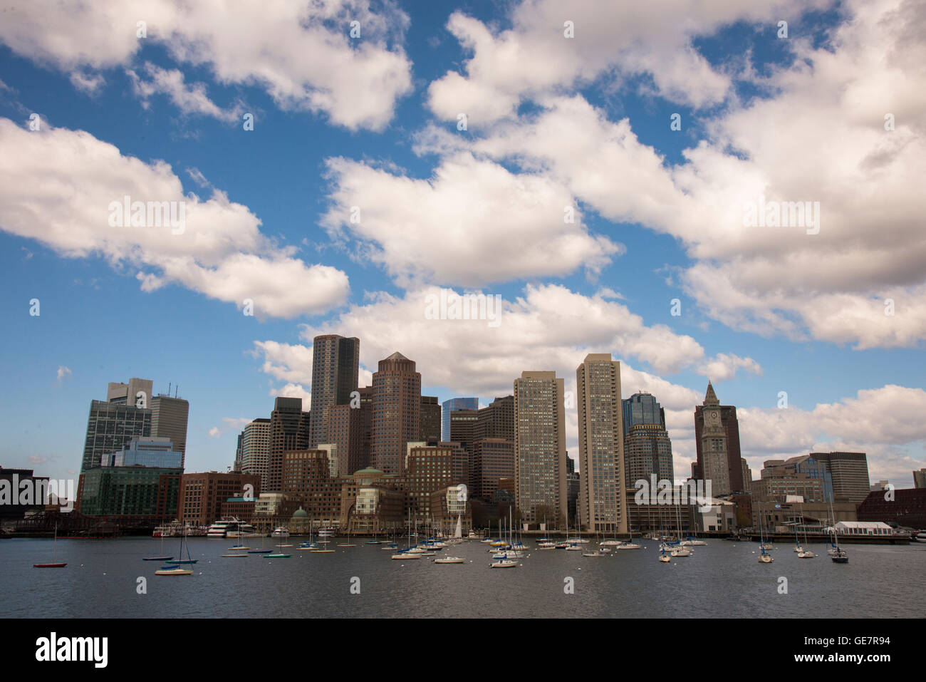 Boston Harbor Whale Watching Adventures Stock Photo - Alamy
