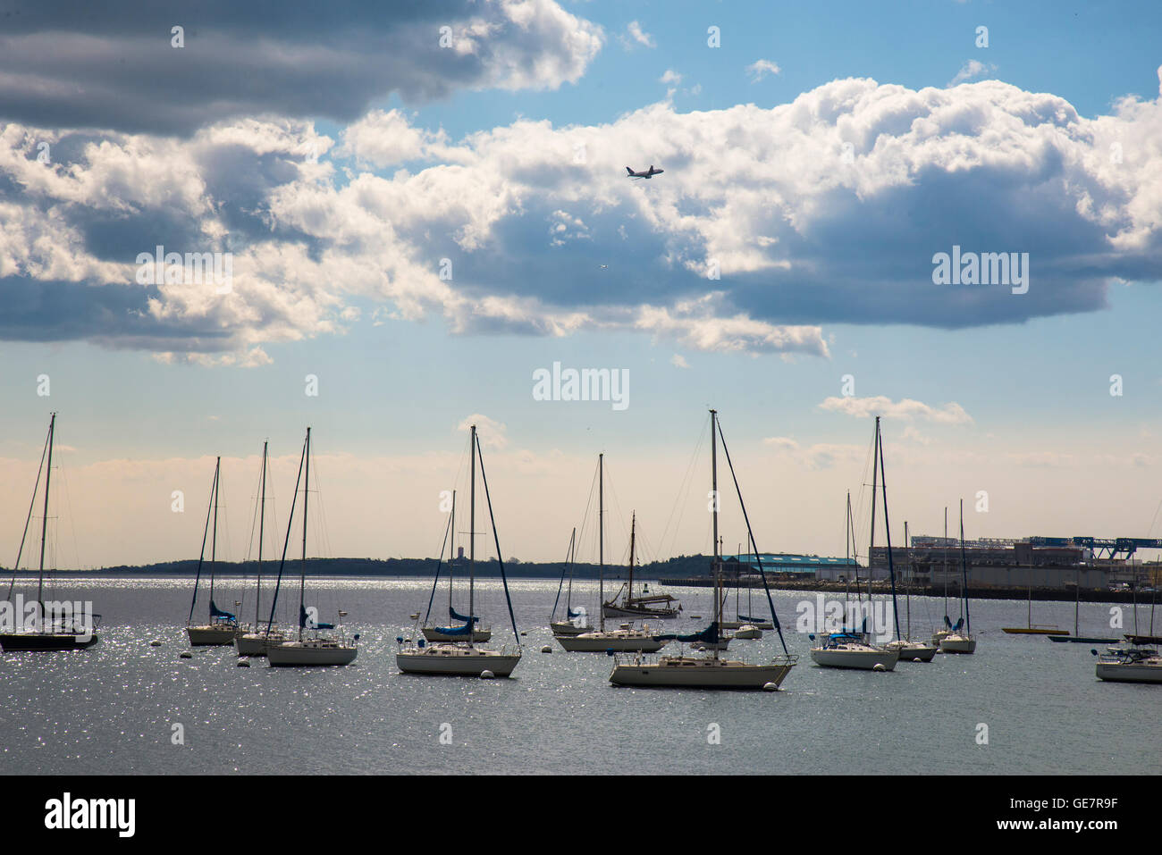 Boston Harbor Whale Watching Adventures Stock Photo - Alamy