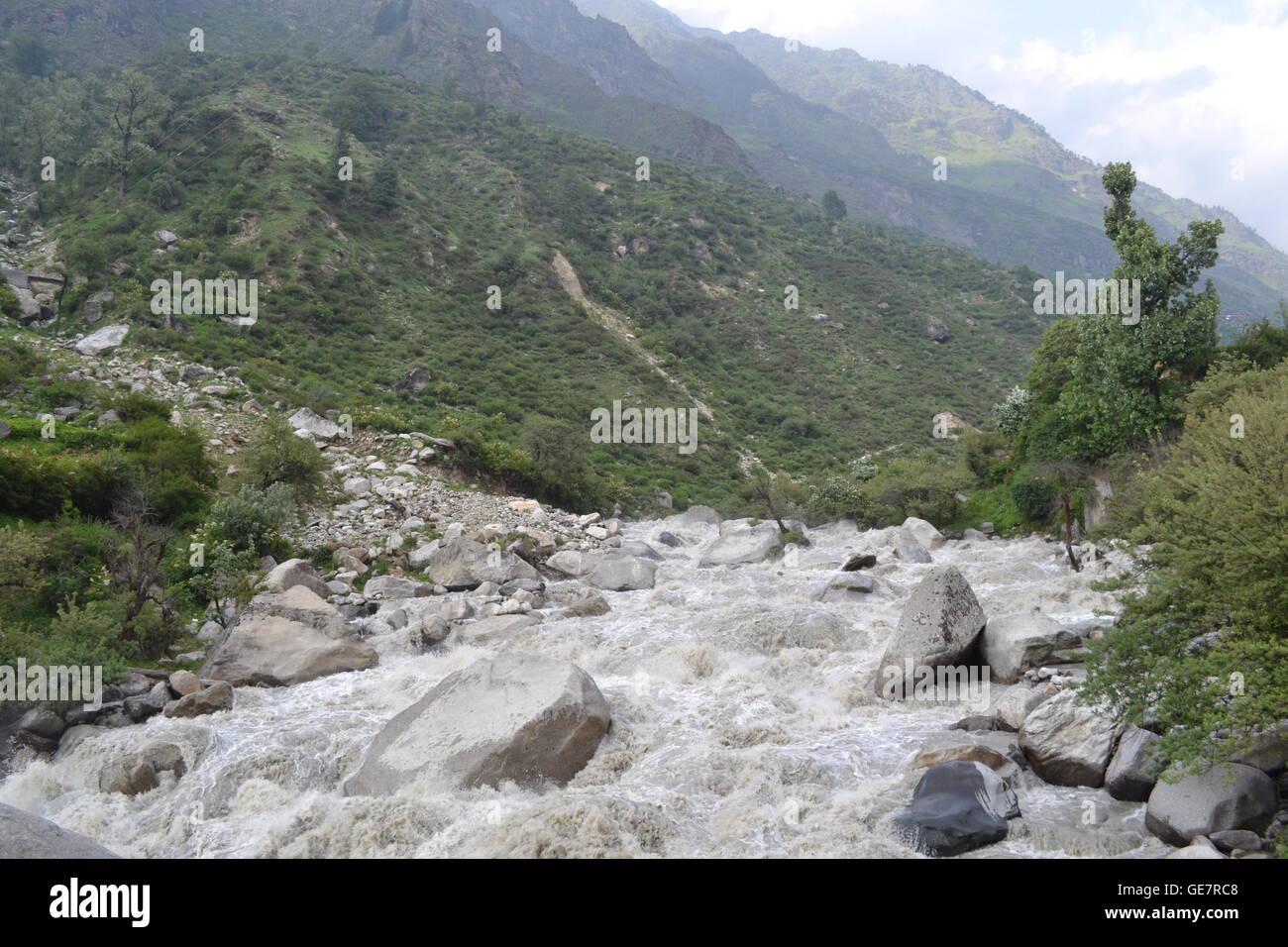 Took this photograph while trekking in himalayas from sankri in ...