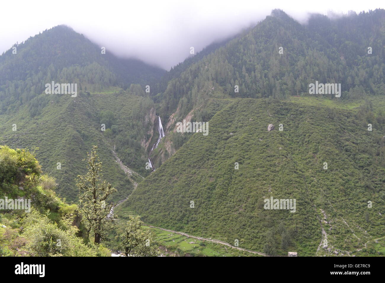Took this photograph while trekking in himalayas from sankri in ...