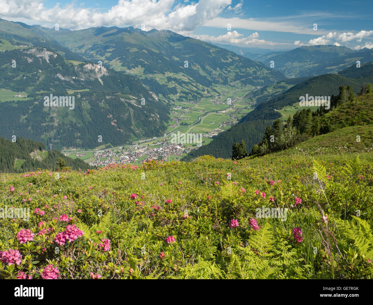 Zillertal valley hi-res stock photography and images - Alamy