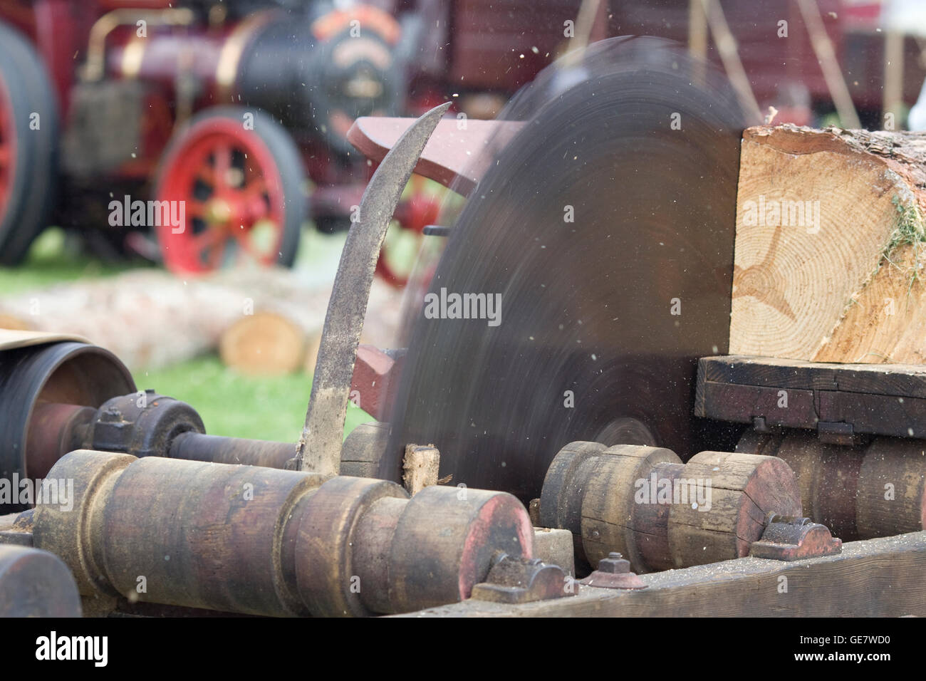traditional wood Saw mill Blade operated by a traction Engine Stock ...