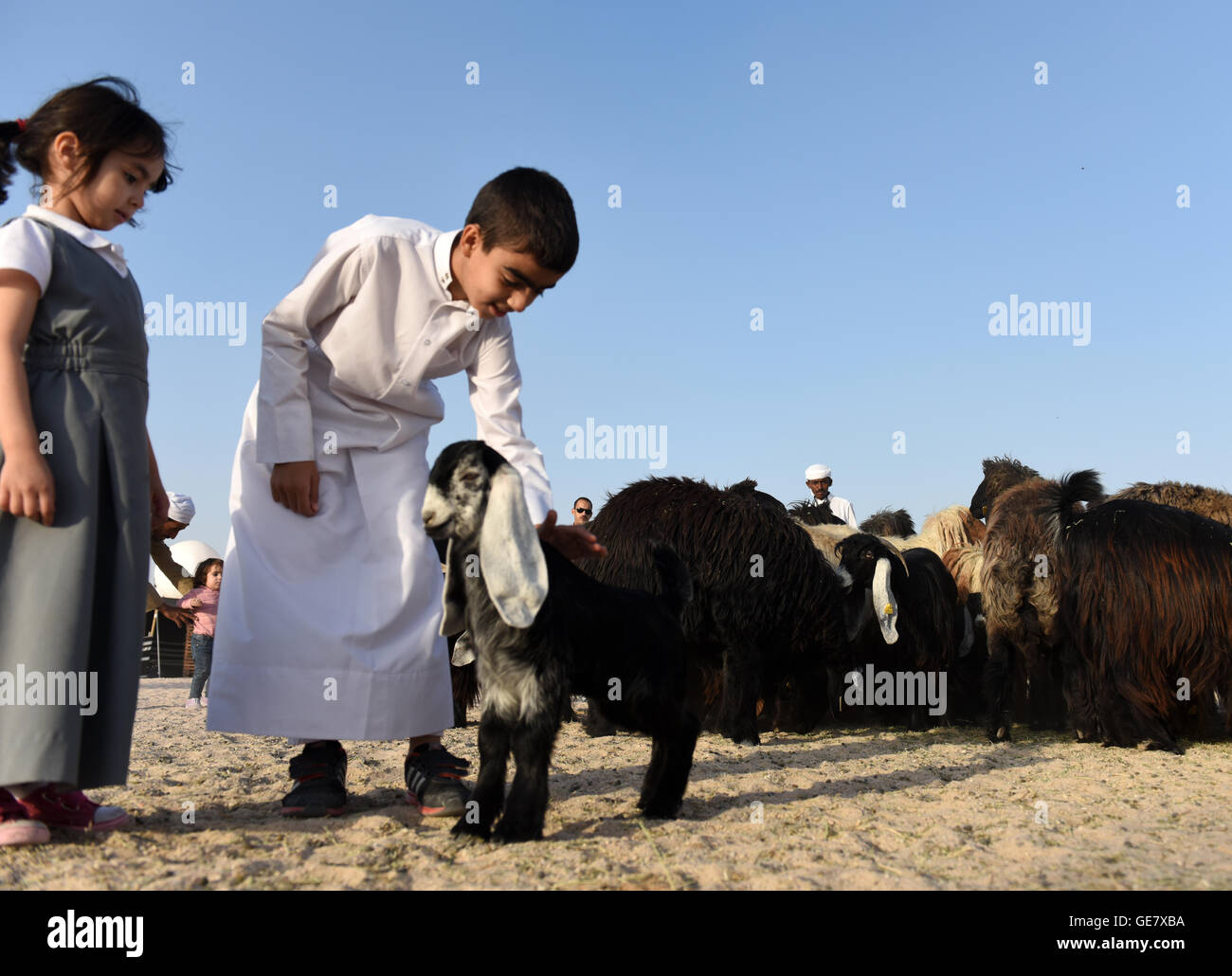 Qatari kids playing with the goats Stock Photo - Alamy
