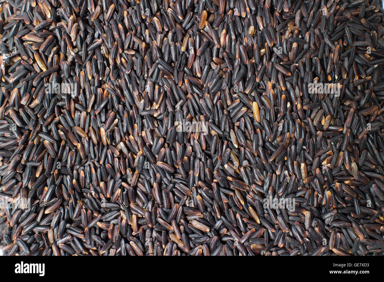 Food background with two rows of rice varieties : berry rice, white ...