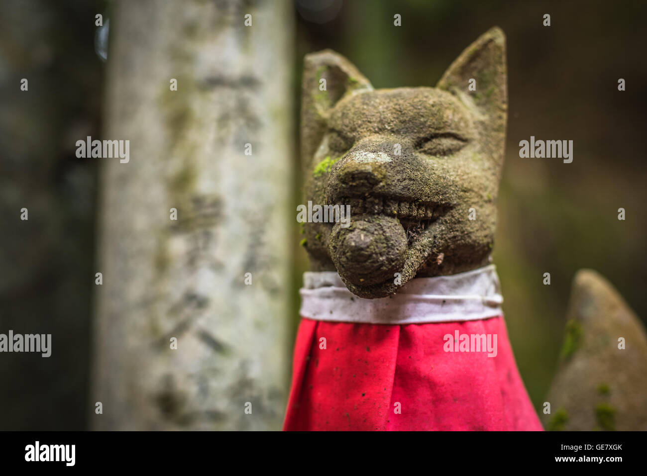 Fox Japan Shrine High Resolution Stock Photography and Images - Alamy