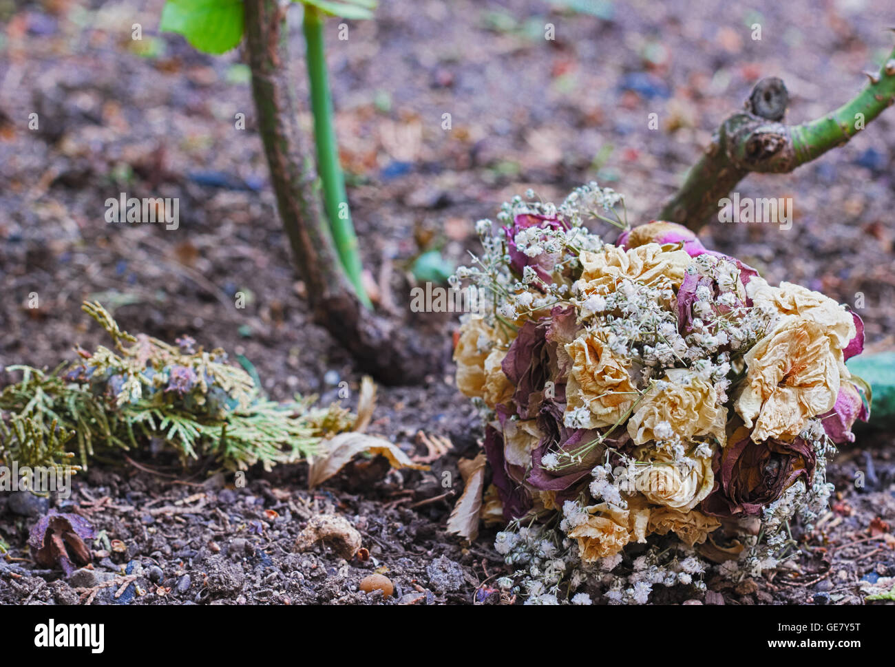 Wilted flower bouquet hi-res stock photography and images - Alamy
