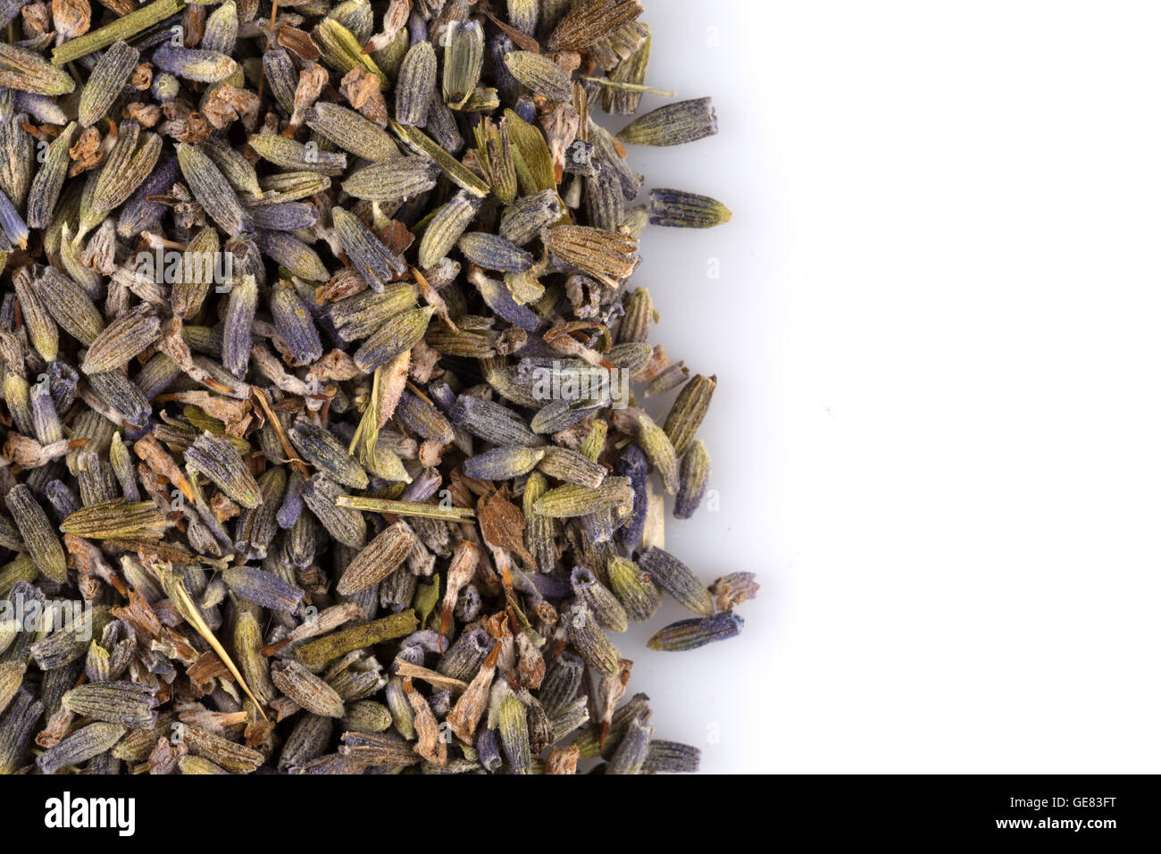dried lavender organic tea Isolated on white background Stock Photo - Alamy