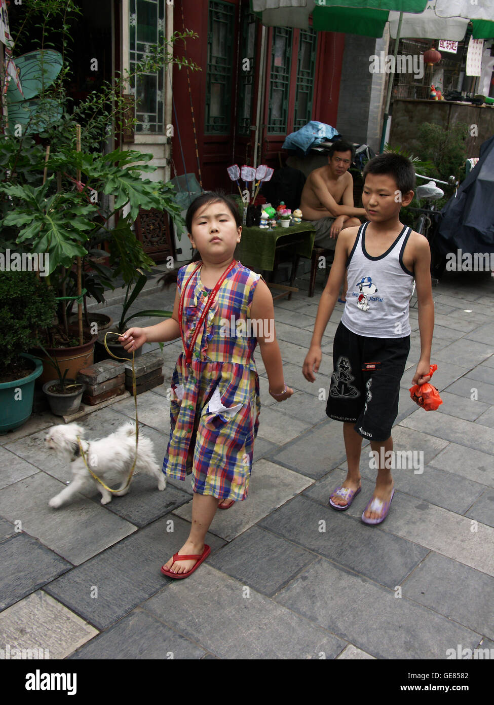 Young girl walking her dog in a hutong neighborhood. Beijing. China ...