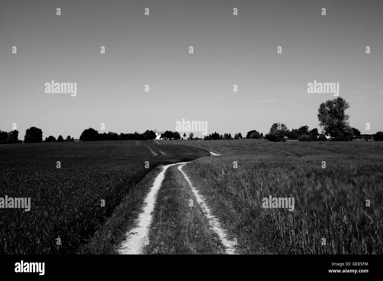 Meditation pathway Black and White Stock Photos & Images - Alamy
