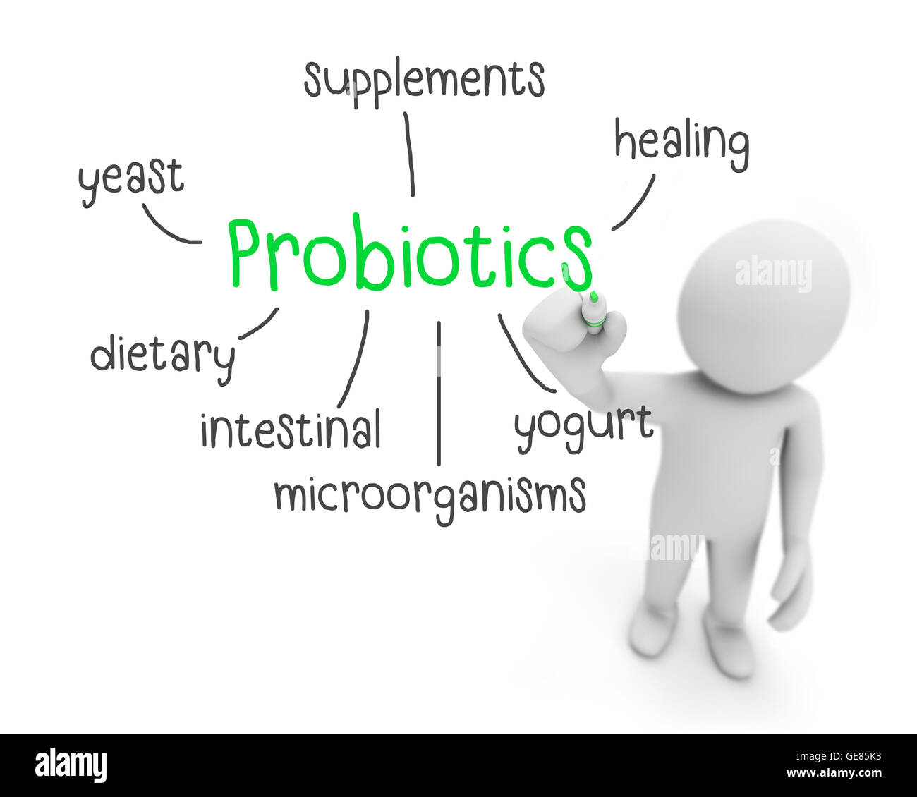 Components of the digestive system hi-res stock photography and images ...