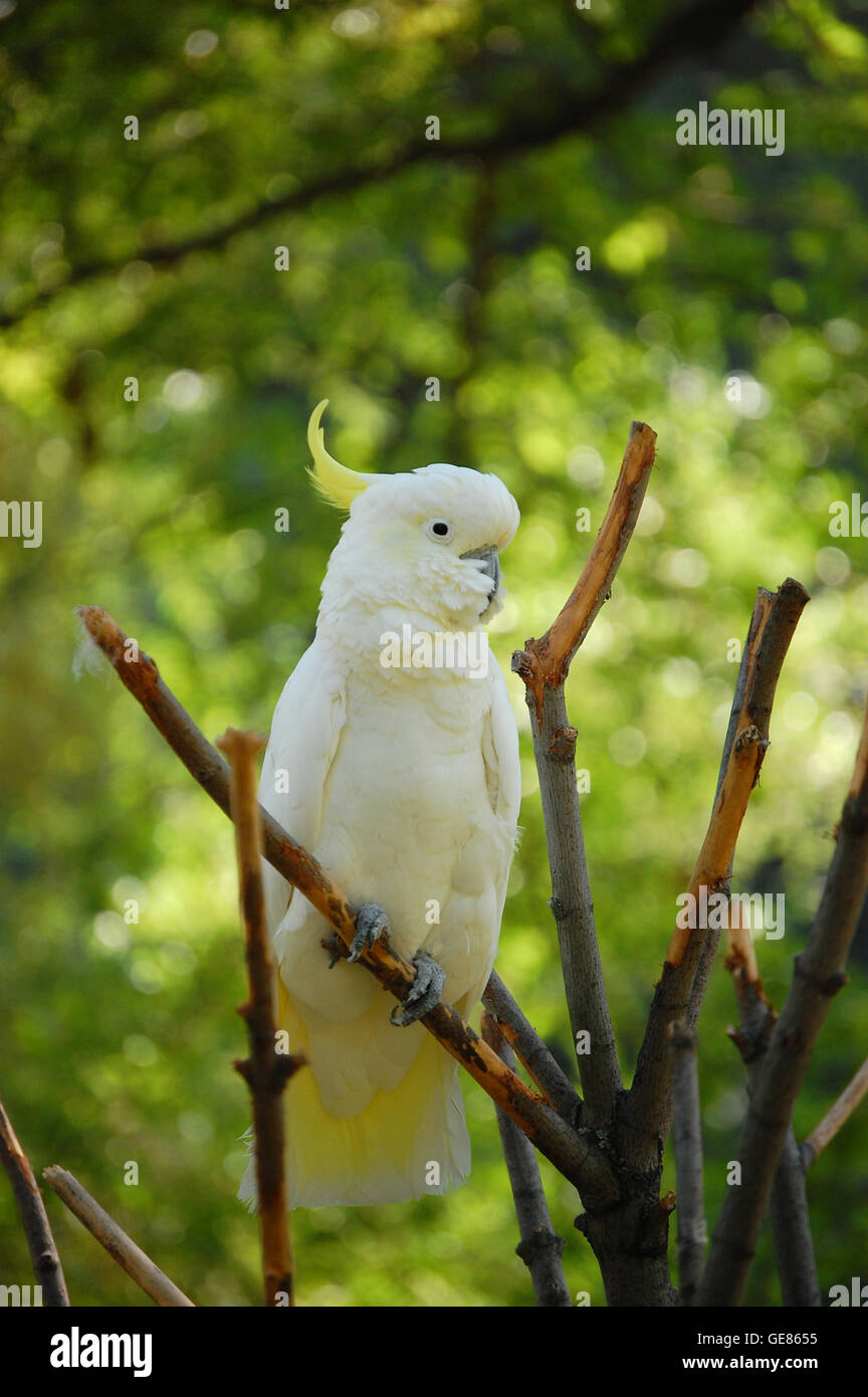 Metroparks zoo hi-res stock photography and images - Alamy
