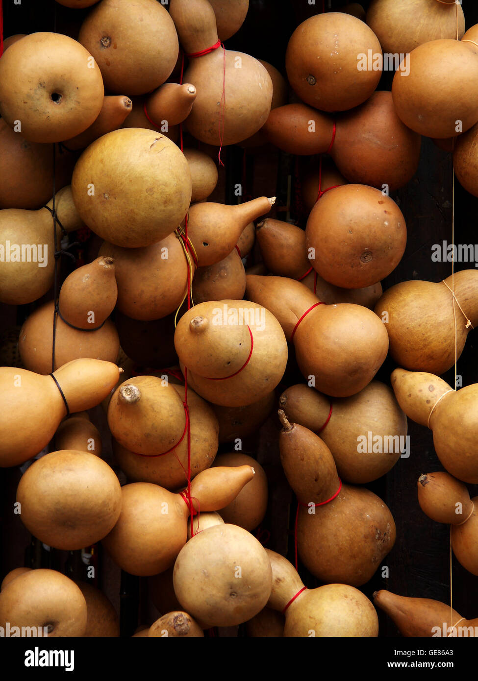Gourds For Musical Instruments at Andrew Briones blog