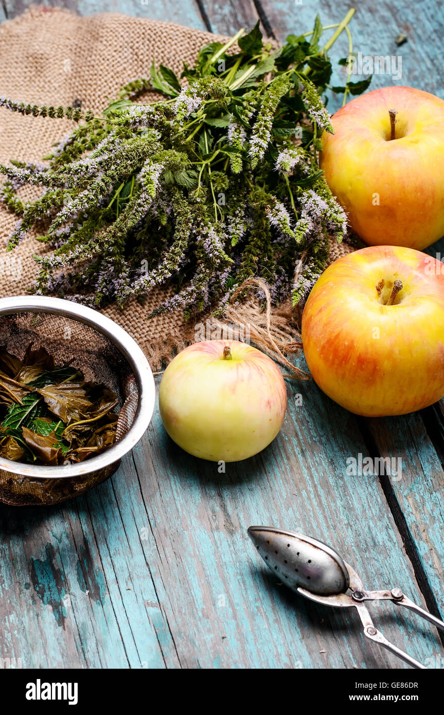 Plucked fresh bunch of fragrant mint,tea brew and apples Stock Photo ...
