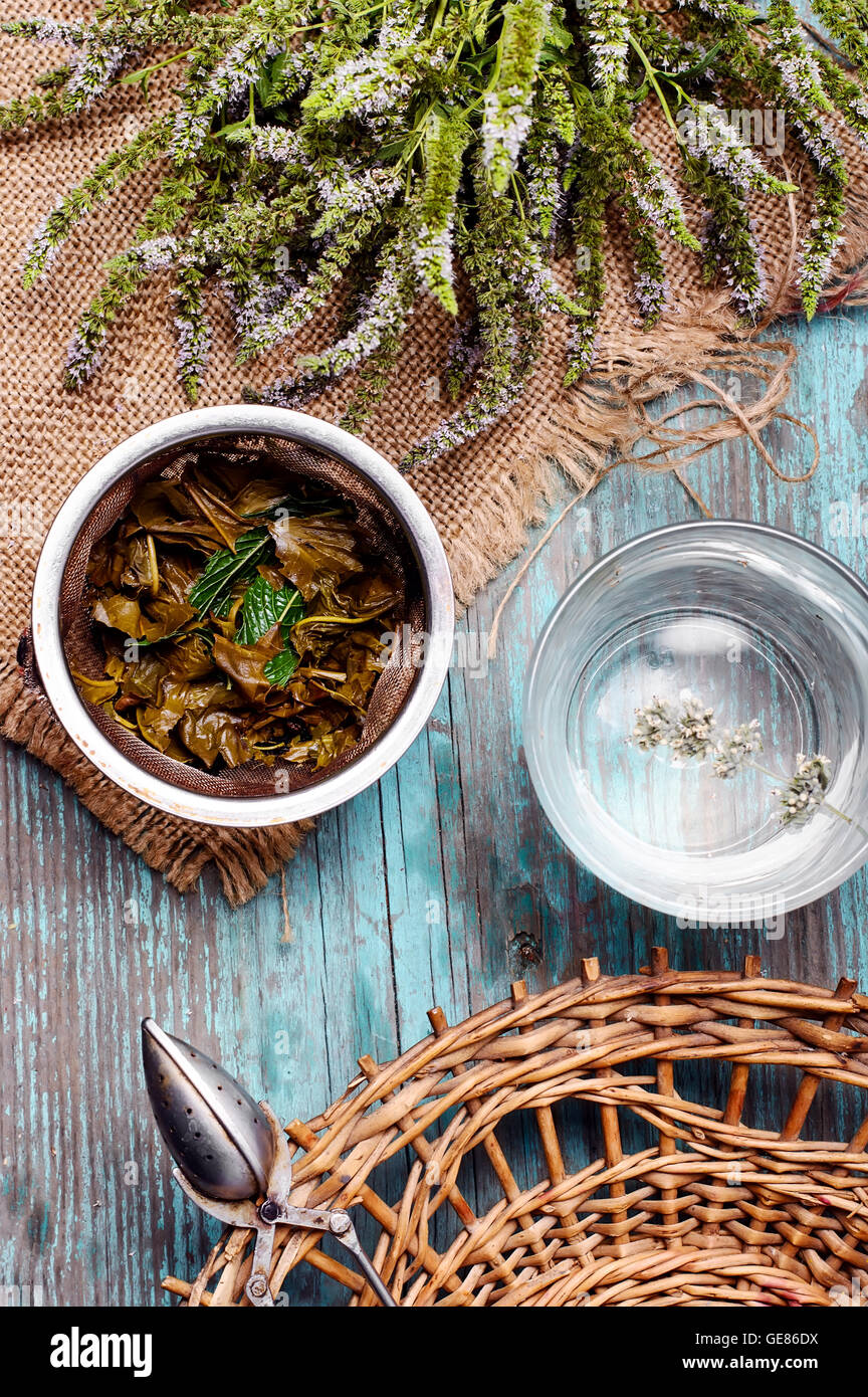 Tea bunch of fresh mint and spoon the custard in rustic style Stock ...