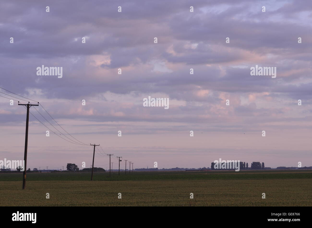 Near Saracen's Head looking north over Holbeach Marsh from OS grid ...