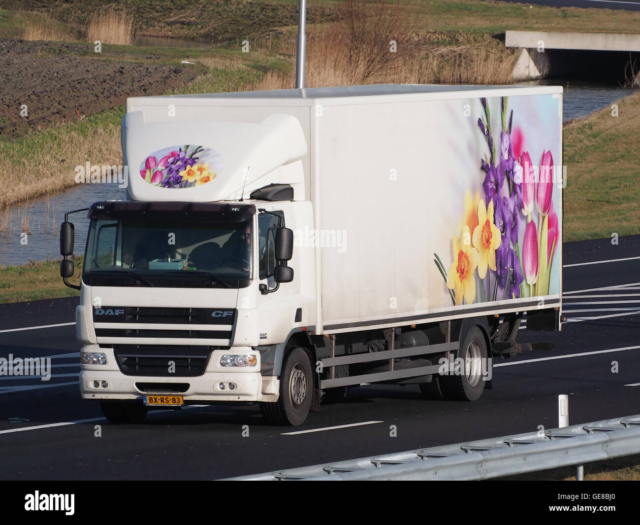 The DAF CF is a commercial truck model commonly used for flower ...