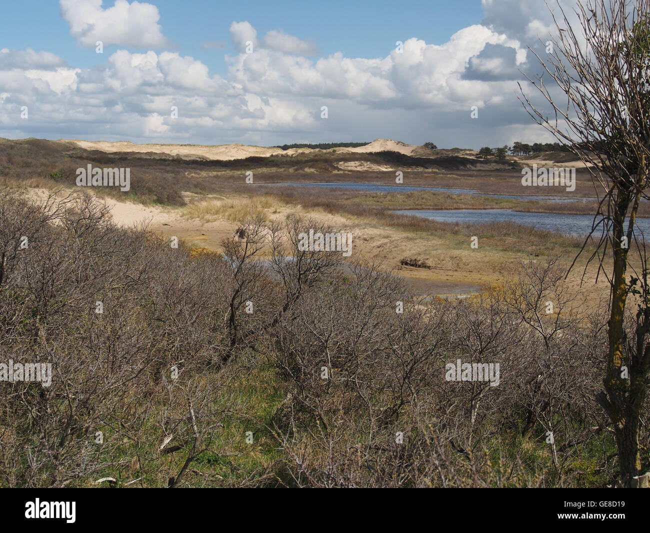 Nationaal park zuid kennemerland zuid kennemerland hi-res stock ...
